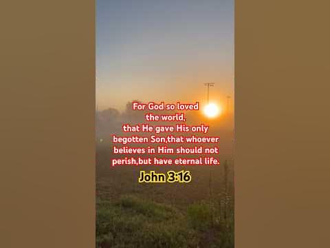 Verse of the day John 3:16 #shorts #short #youtubeshorts #bible #verseoftheday - YouTube
