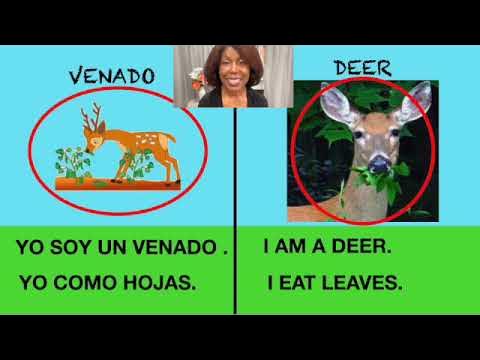 LEARN ALL ABOUT ANIMALS IN A FUN WAY FOR KIDS. APRENDE TODO SOBRE LOS ...