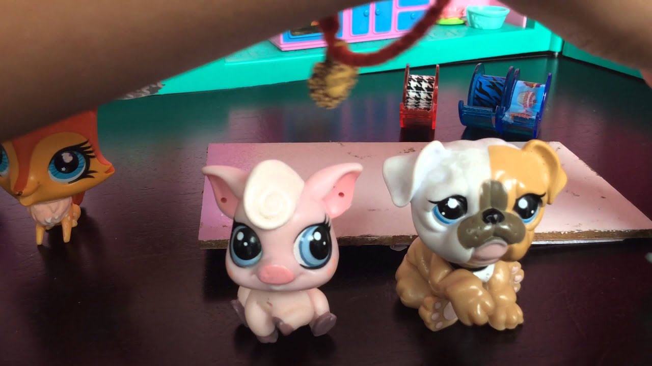 Lps show off😃 - YouTube