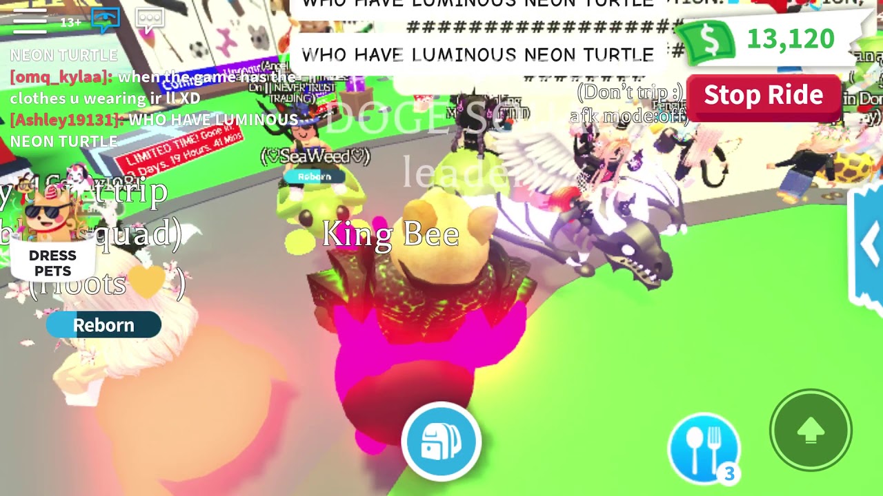 Trading mega king bee - YouTube