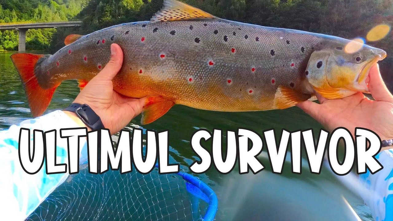 Am prins si ultimul pastrav SURVIVOR de pe lacul de munte - YouTube