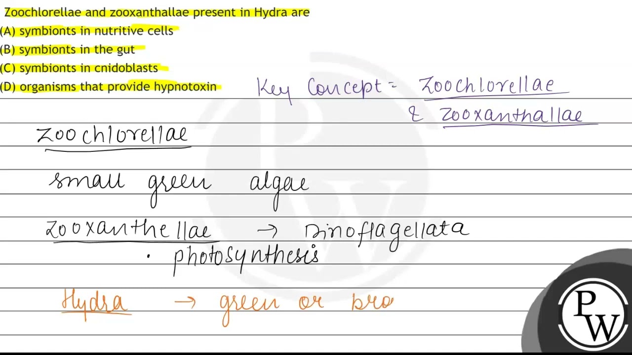 Zoochlorellae