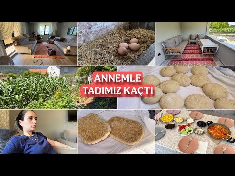 HEPSİ YALANCI OLMUŞ☹️ANNEMDEN BAZLAMA✅KÜMESTEN YUMURTA😍BİRAZ EV İŞLERİ💯YENGENİN BAHÇESİ🍀EVİME DÖNDÜM