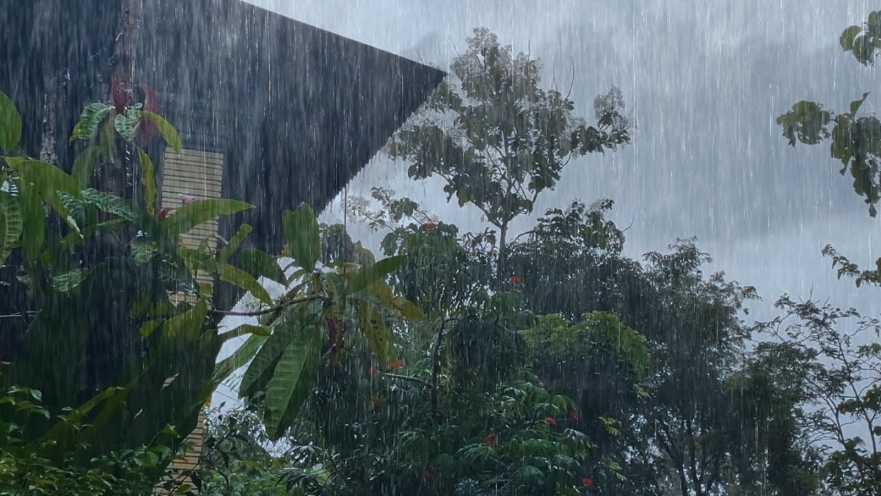 Fall asleep fast and wake up refreshed with heavy rain sounds for ...