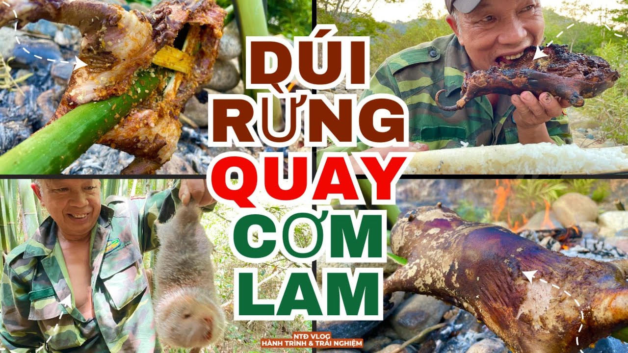 DÚI RỪNG QUAY CƠM LAM | Ẩm Thực Rừng Núi - YouTube