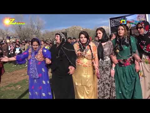 Farshad Amini 2019 \