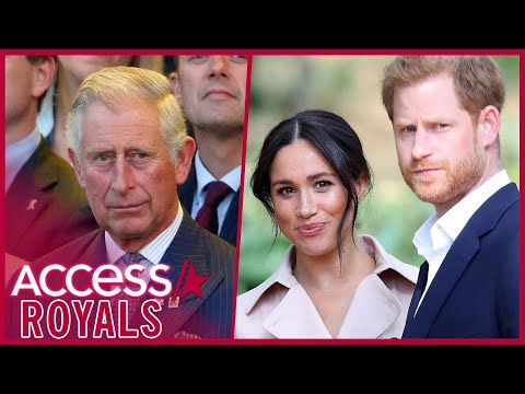 When Did Prince Harry & Meghan Markle Stop Getting Money From Prince Charles
