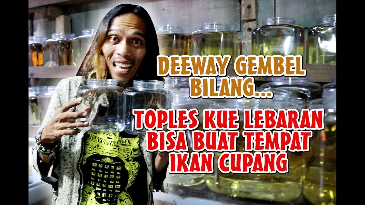 TOPLES KUE LEBARAN BISA BUAT TEMPAT IKAN CUPANG "Deeway Gembel Tips"0 ...