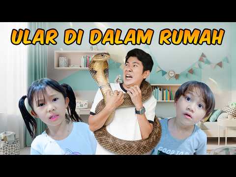 DI LILIT ULAR SAAT TIDUR PAPOY SAMPE MAU NANGIS