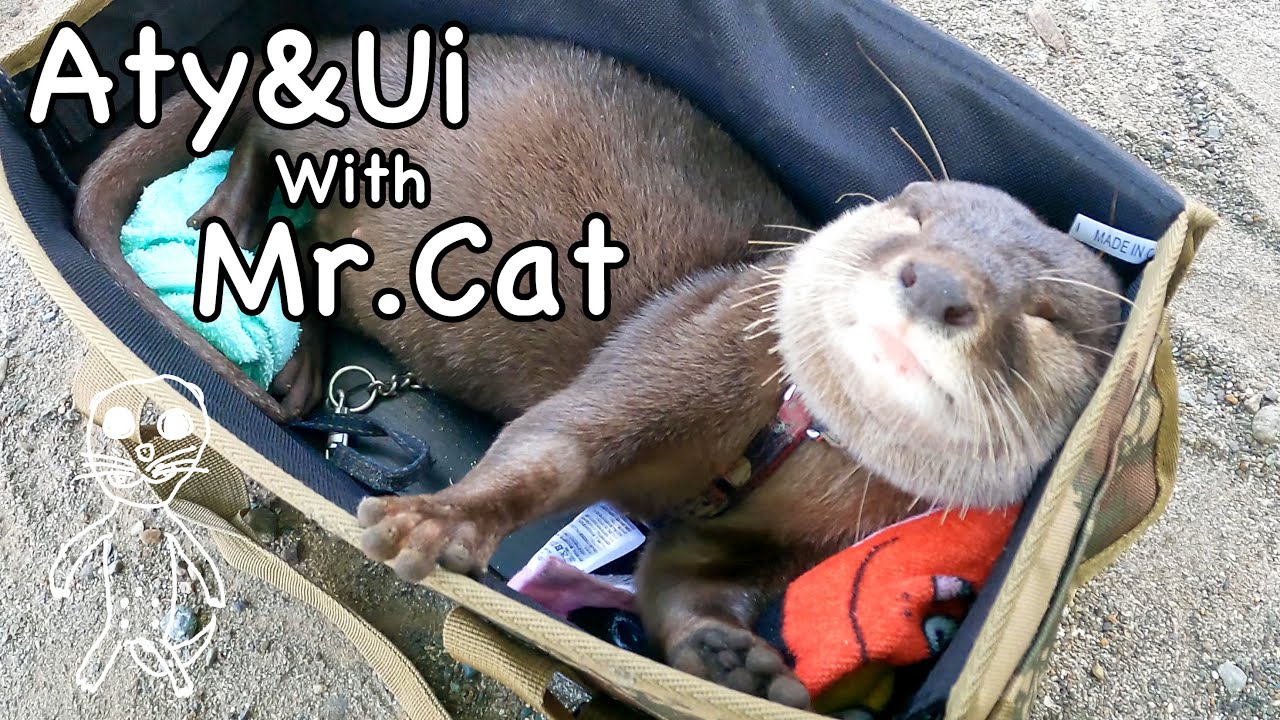 The free-spirited Aty, and Ui who has somehow come to behave like Aty ...