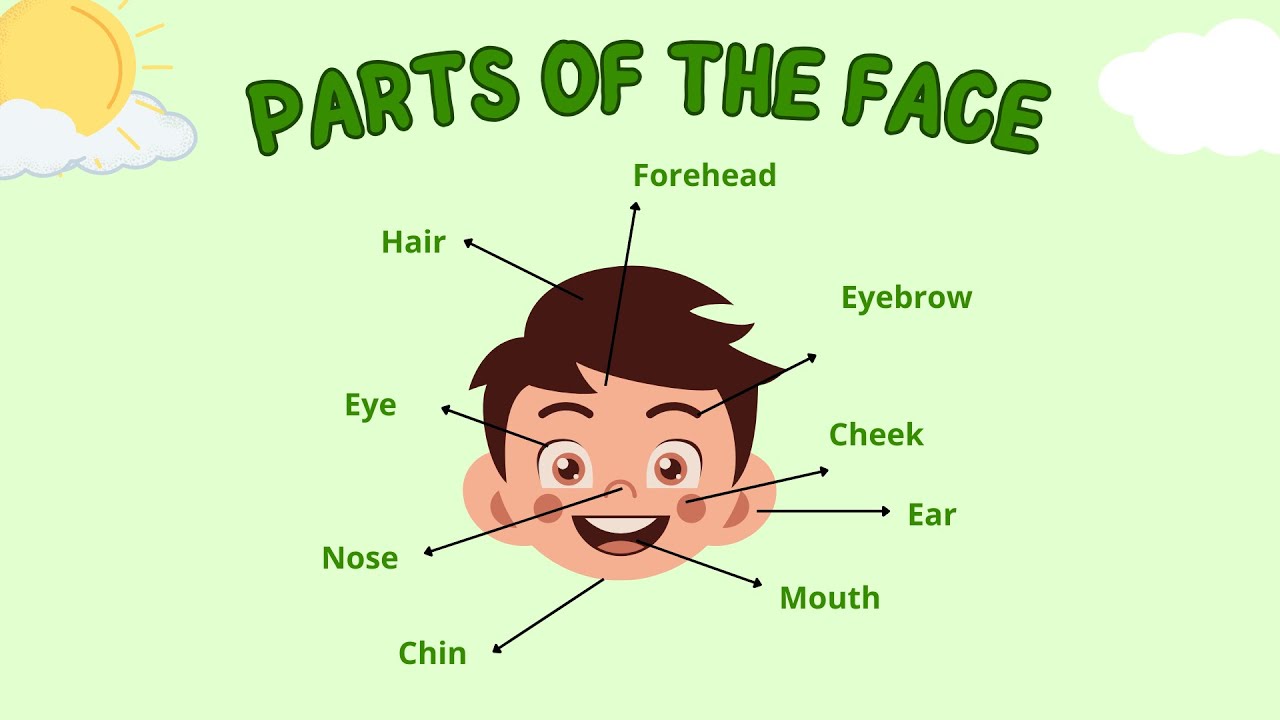 Parts of the face - Learning Body Parts (PART 1) - IN ENGLISH - YouTube