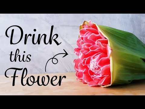 Make Torch Ginger Flower Limeade Natural Pink Tea - YouTube