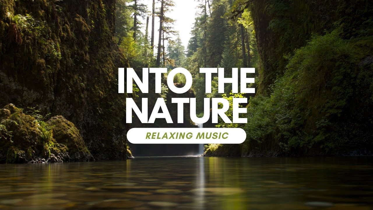 Relaxing Music - Get Into The Nature - No Ads - YouTube