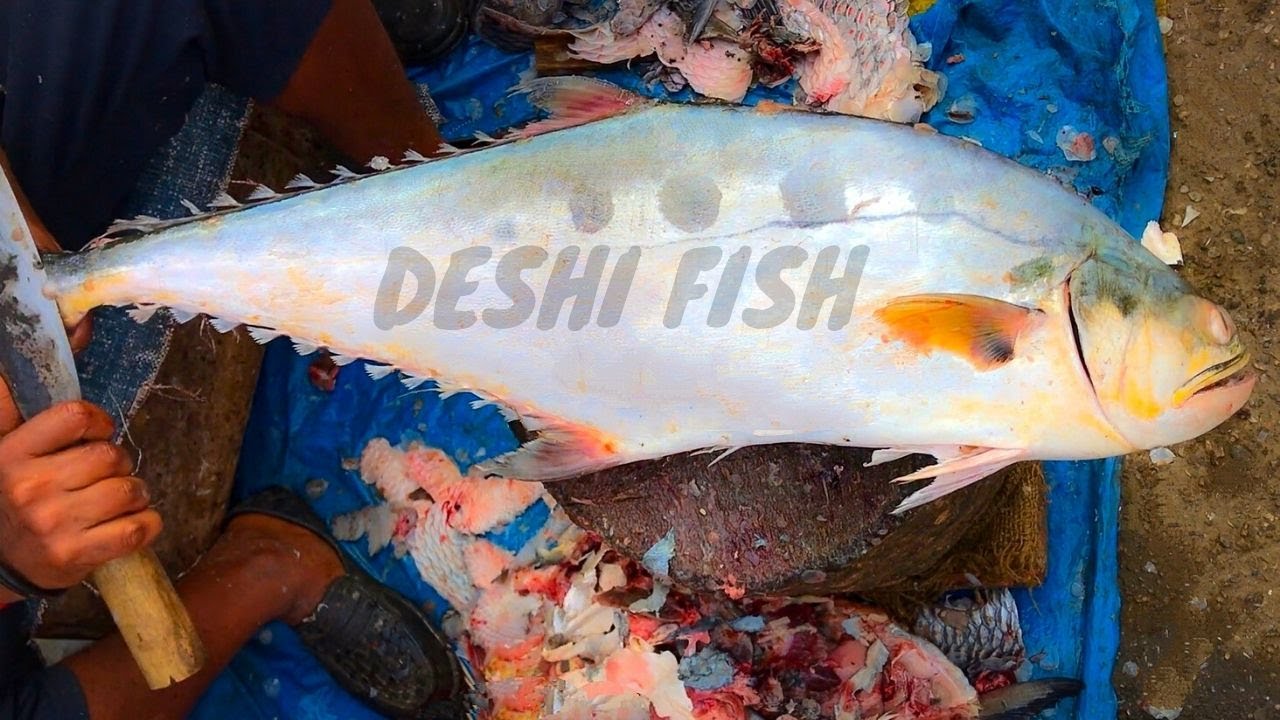 Big Surmai Fish Cutting, Fish Market Fish Cutting Skills, Seer Fish ...
