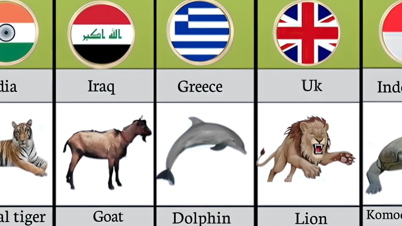 List of national animals of all countries - YouTube