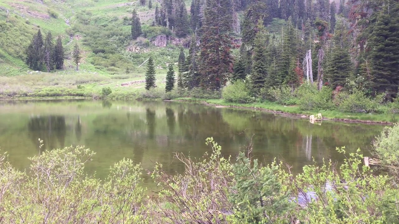 Day 73 - 2 PCT 2018 - YouTube