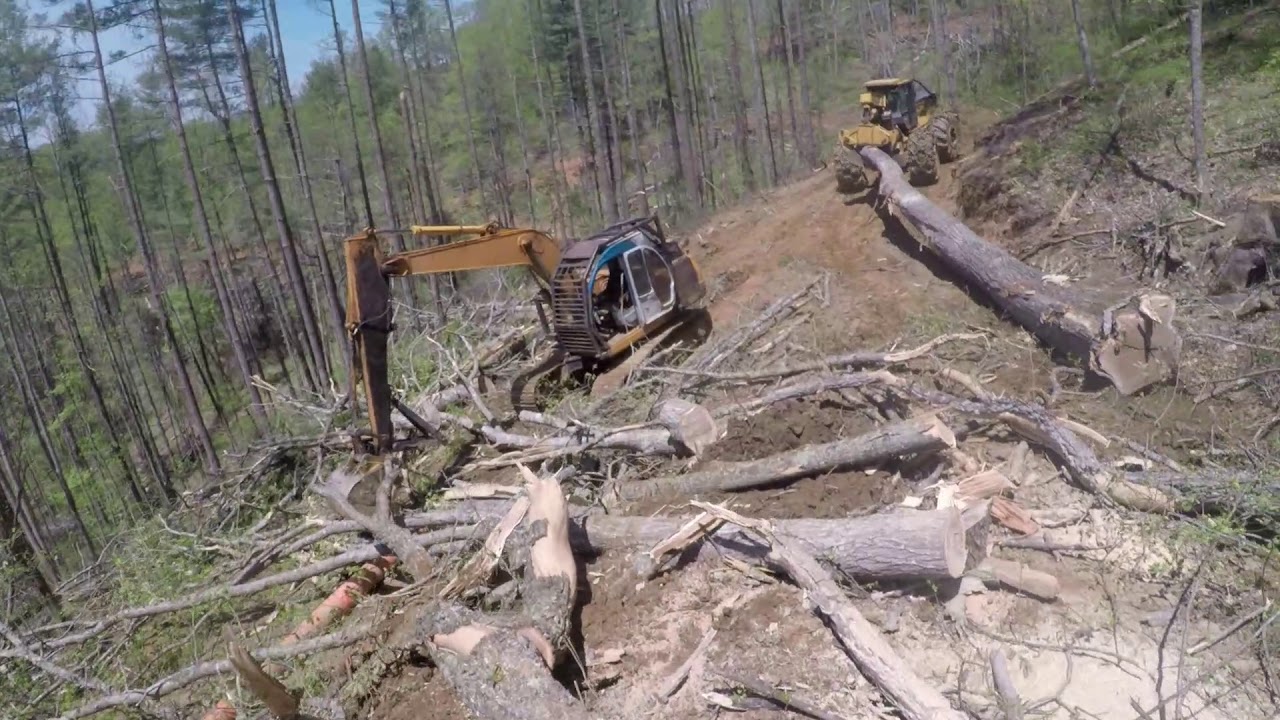 DOZER RIDE,LOGGING,TRACK HOE RIDE,AND CUTTING SOME NICE ONES!!!! - YouTube