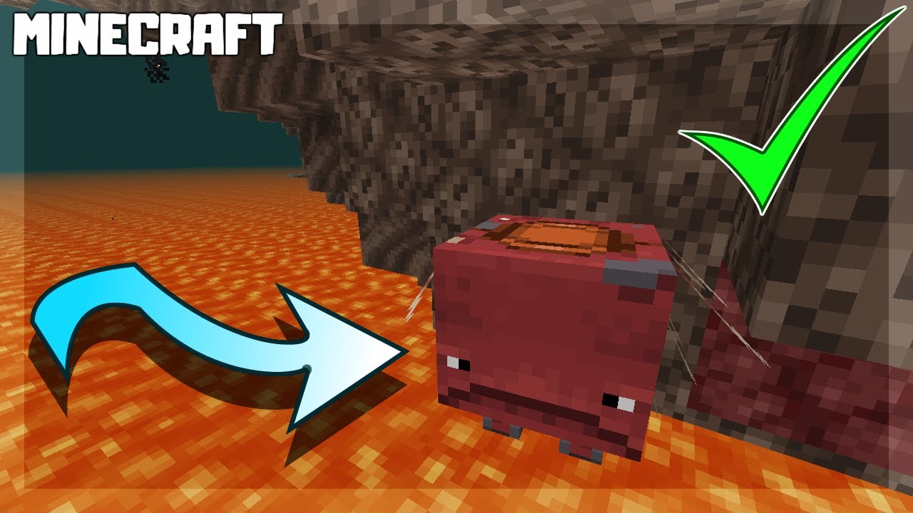 MINECRAFT | How to Find and Tame a Strider! 1.16.1 - YouTube