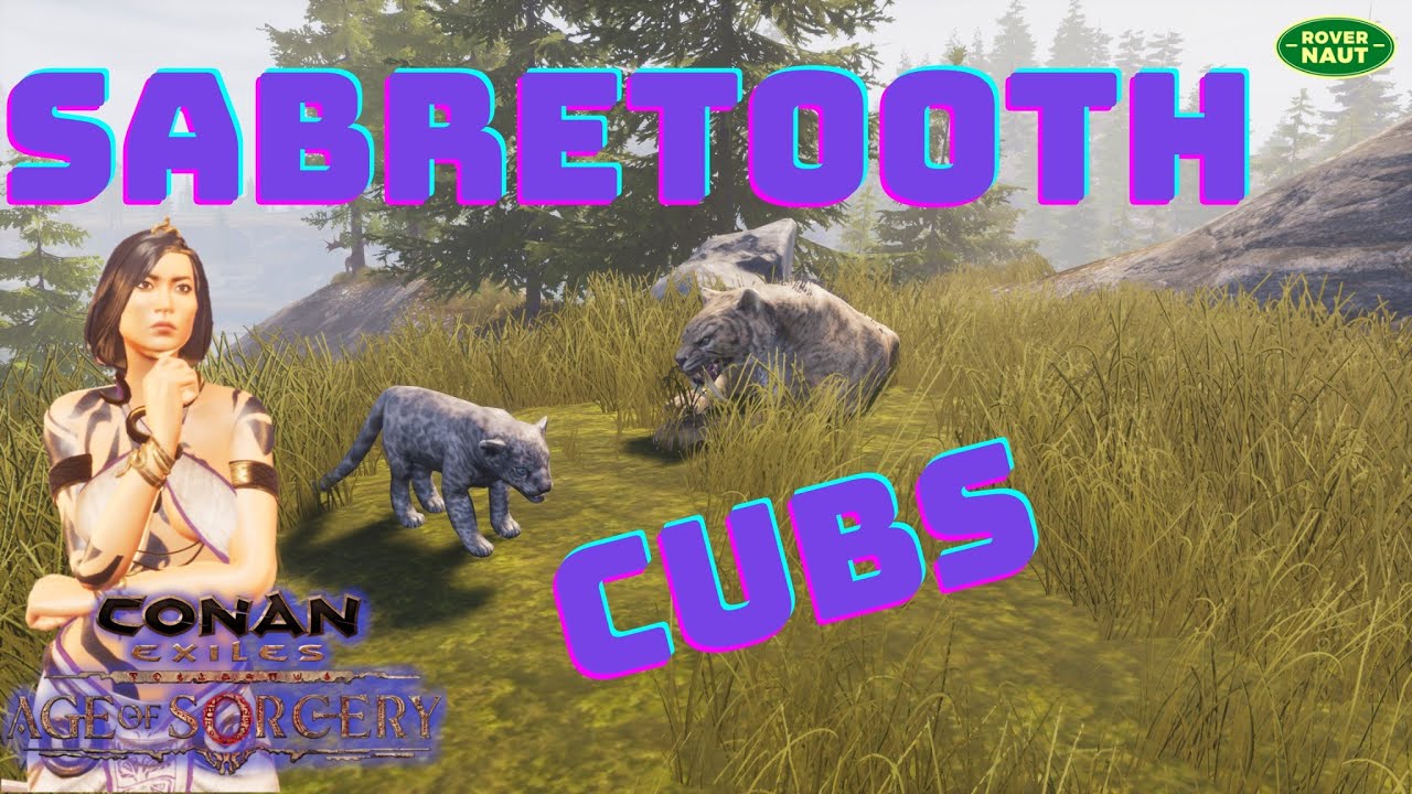 What's up with Sabretooth Cubs?! | Conan Exiles Sorcery Ep47 - YouTube