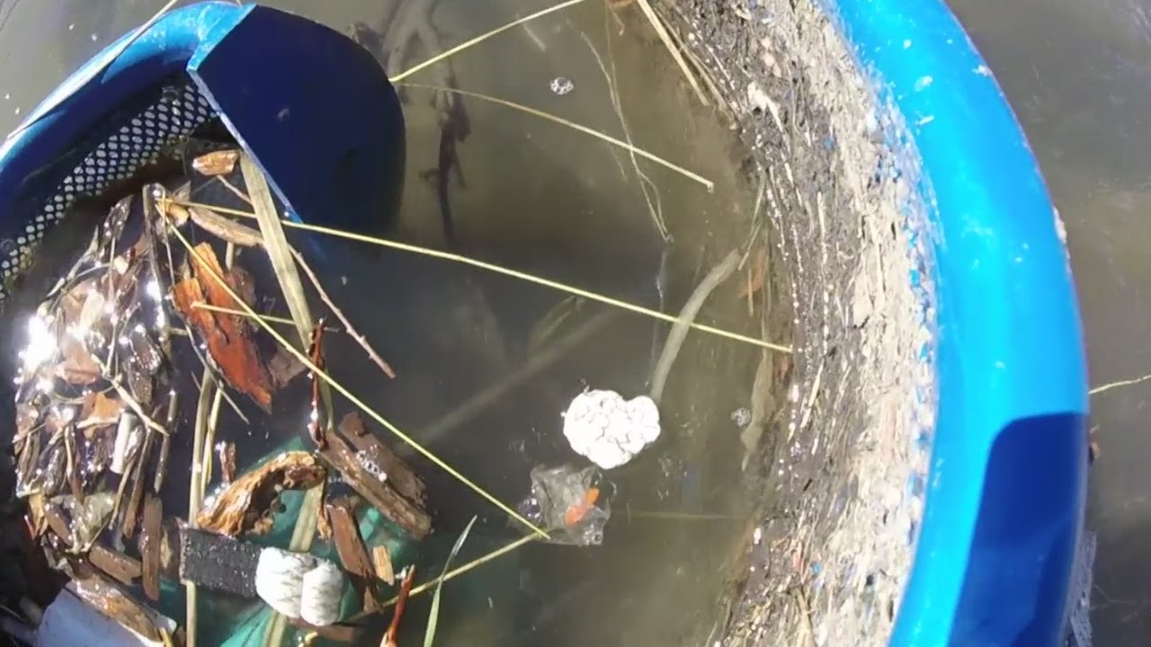 Trash Collection Device Could Help Keep Denver's Waterways Clear - YouTube