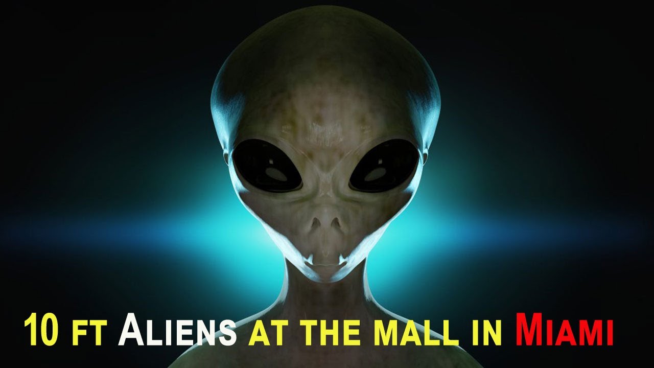 (10 feet ) Alien caught at the Miami Mall #alien #aliens #miami - YouTube