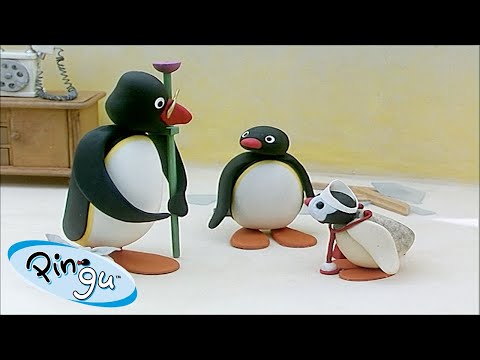 Pingu and His Family | Pingu - Official Channel | Cartoons For Kids ...