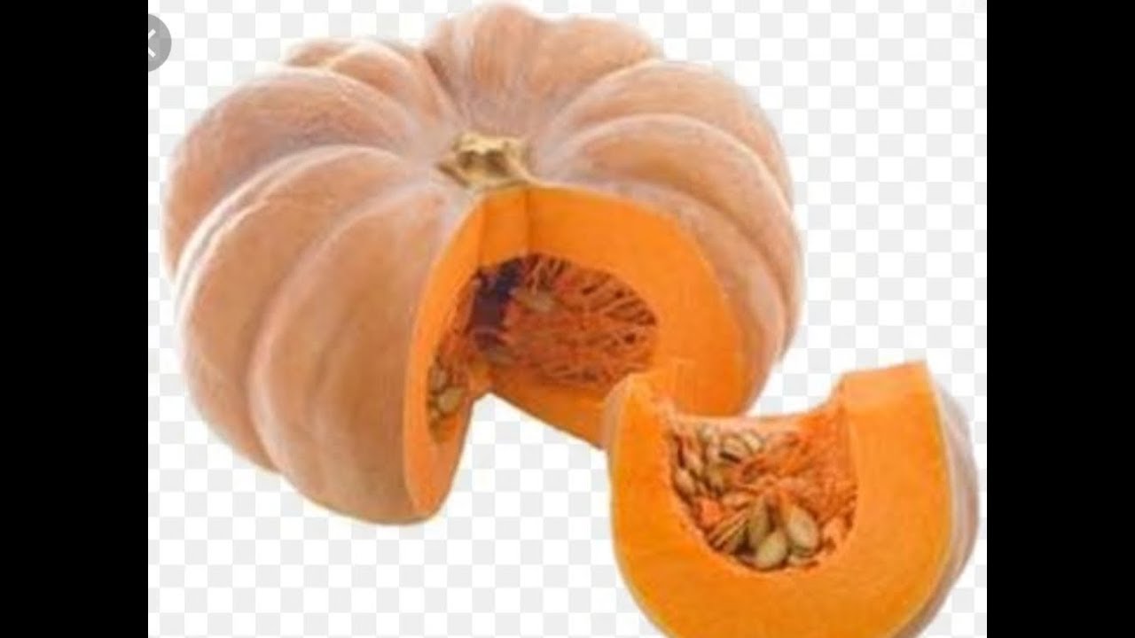 Balkabagi nasıl yetiştirilir? - YouTube