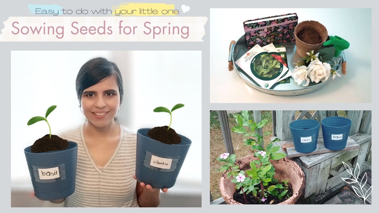 Sowing Seeds with my Little One|| Try this FUN Gardening Activity! It's ...