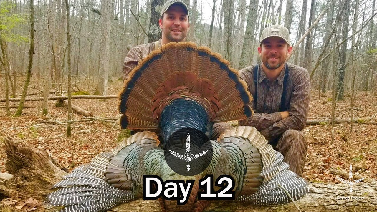 TURKEY HUNTING THE ALABAMA HARDWOODS_ EARLY SEASON PUBLIC LAND GOBBLERS ...