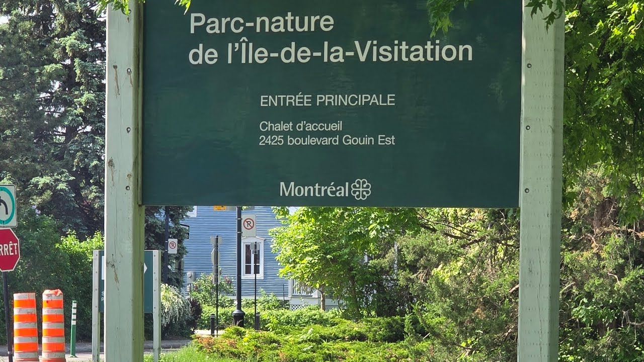 así son los increíbles Bosques rojos de Canadá - YouTube