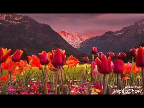 Purbeli lok geet -  Sallerima Hawa Chalyo - Dhan Purna Limbu - Krishna Bhakta Rai & Satyakala Rai