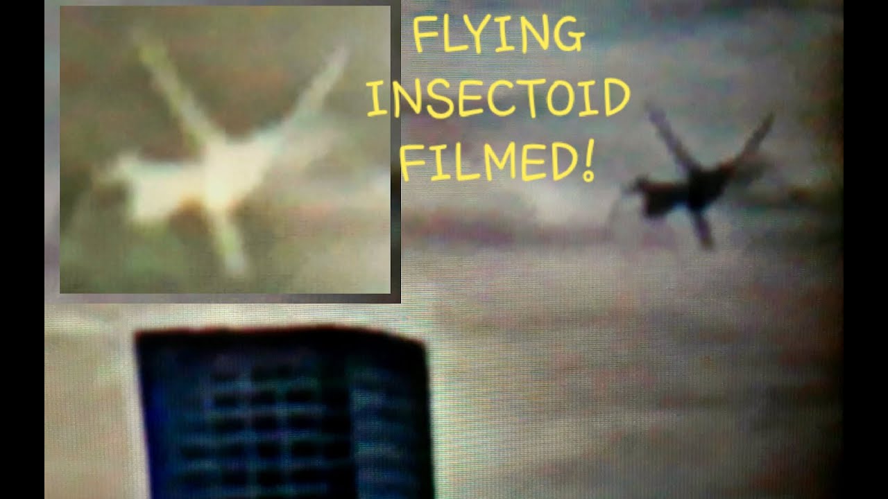 FLYING INSECTOID FILMED 2 - YouTube
