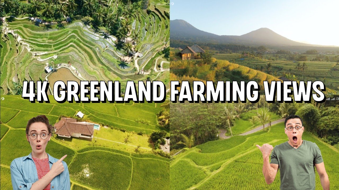 4K Greenland Farming | South East Asia 4K Drone Footage Of Green Rice ...