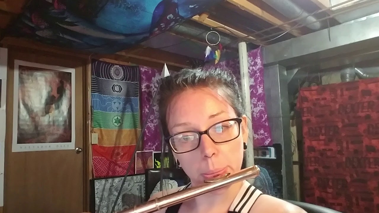 Flute Fruit by Shpongle on flute - YouTube