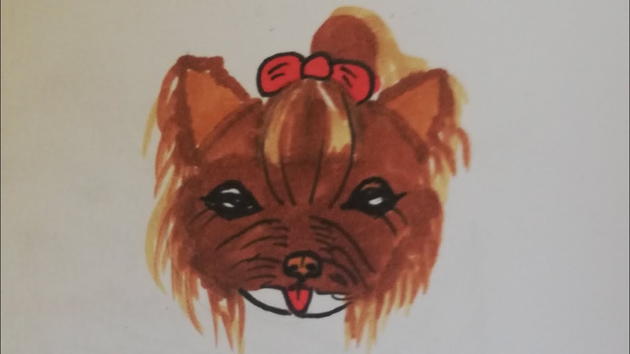 So easy to draw a Yorkie! How? - YouTube