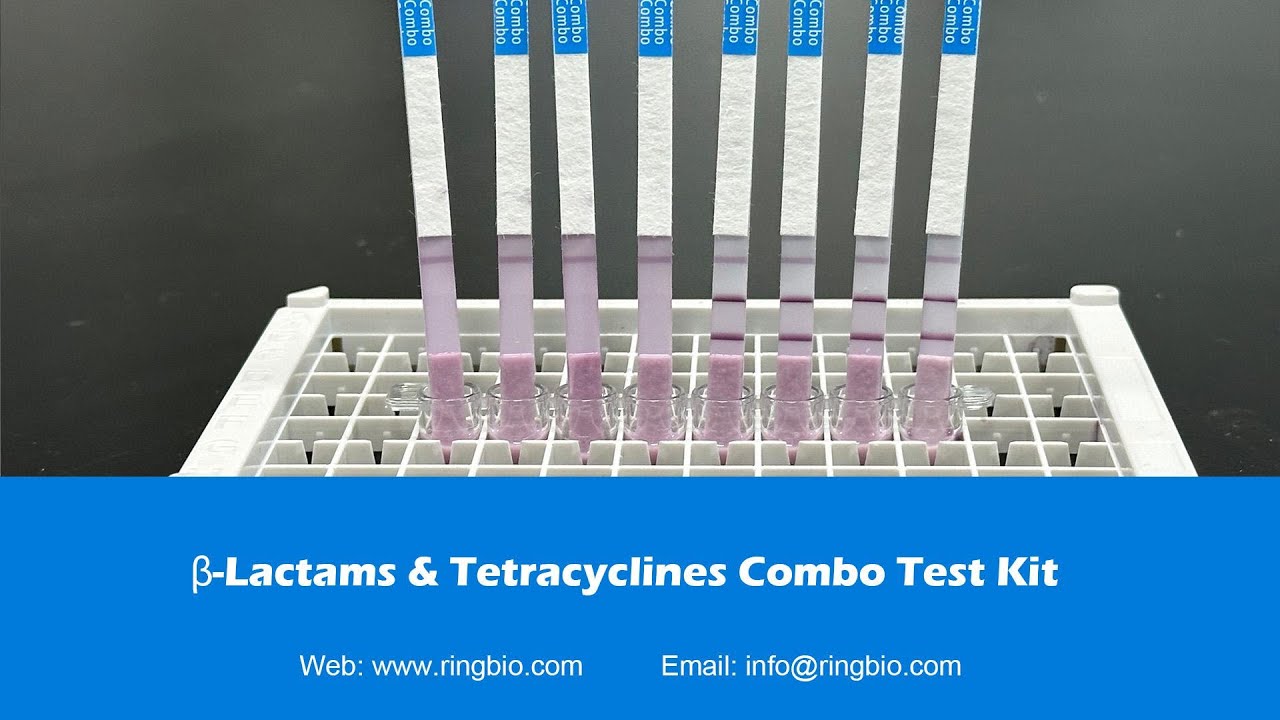 Ringbio Beta-lactams & Tetracyclines Combo Test Kit, BT 2in1 to detect ...