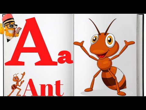 A for ant with book English alphabets for children A for apple abcd a ...