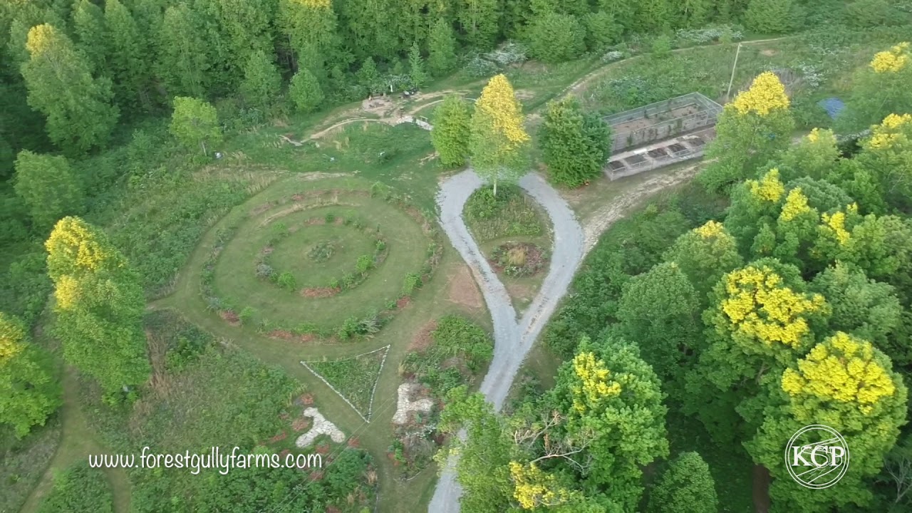 Forest Gully Farms - YouTube