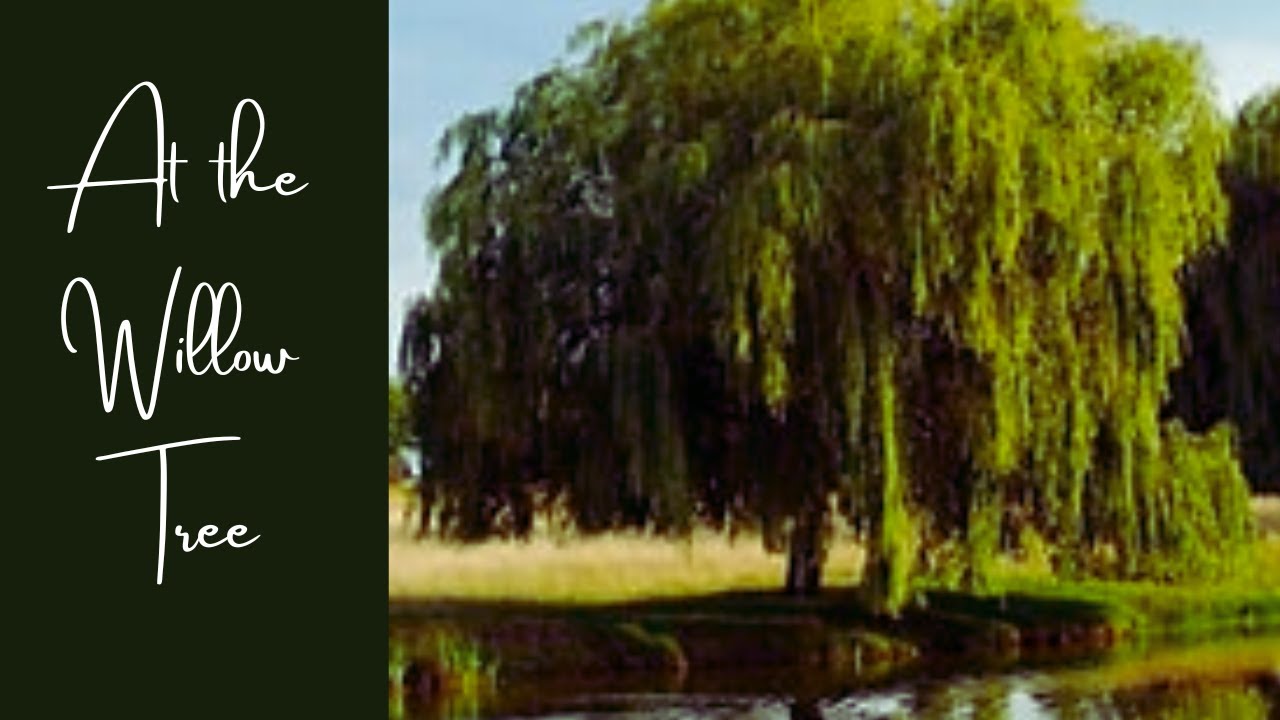 At the Willow Tree - YouTube