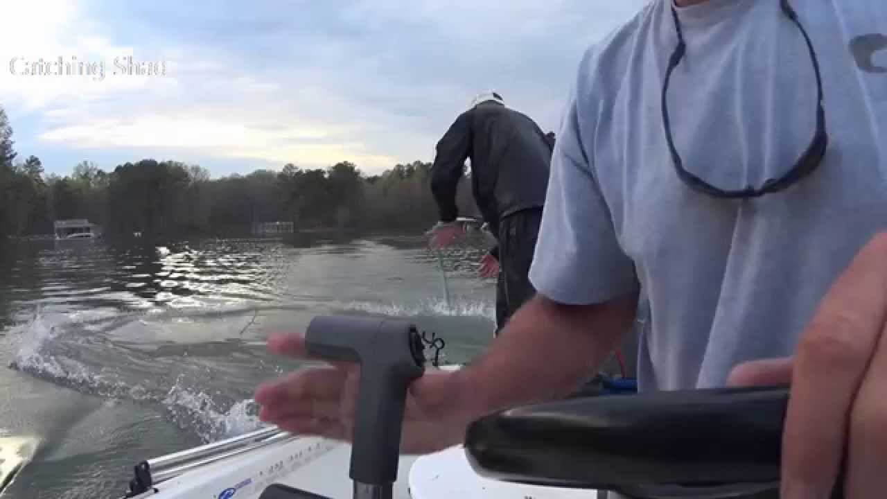 Catching Shad on Lake Lanier - YouTube
