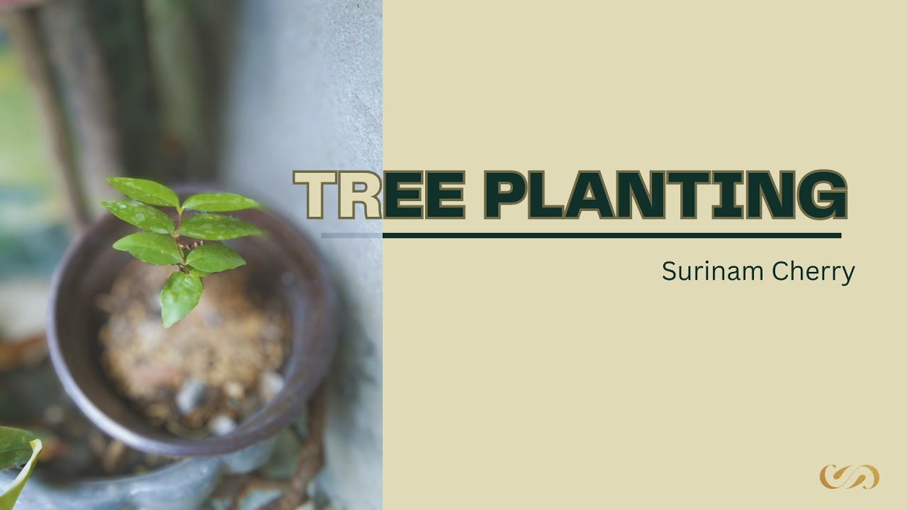 "My Tree Planting Journey: Documenting the Growth of a New Life" # ...