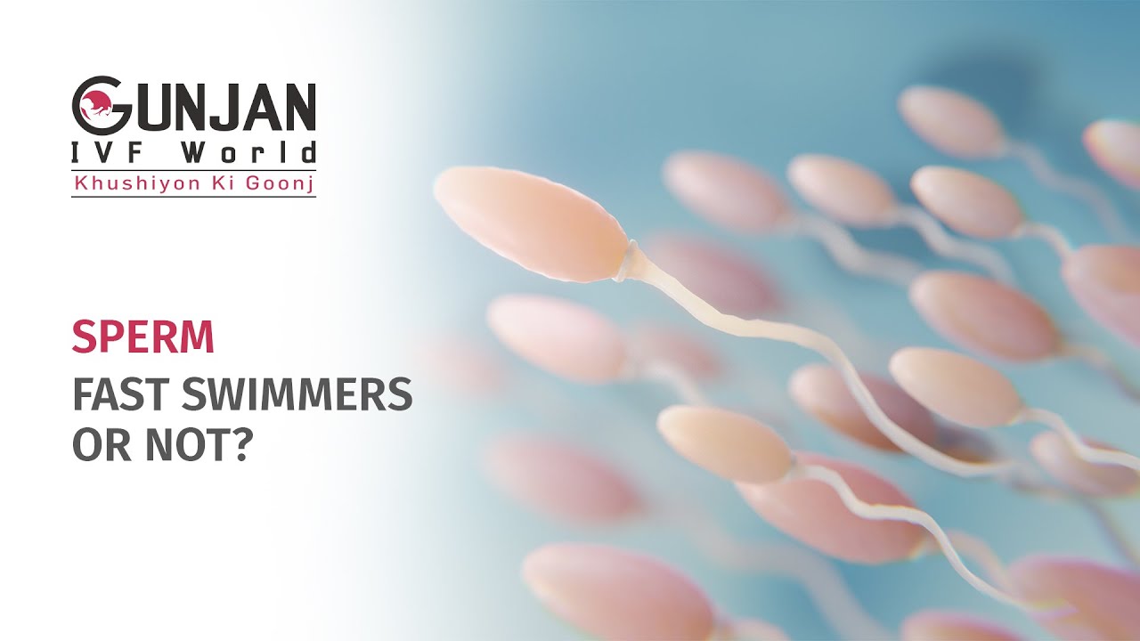 Sperm Video | The Journey of Sperm and Egg | Fertilization | Conception Explained # ...