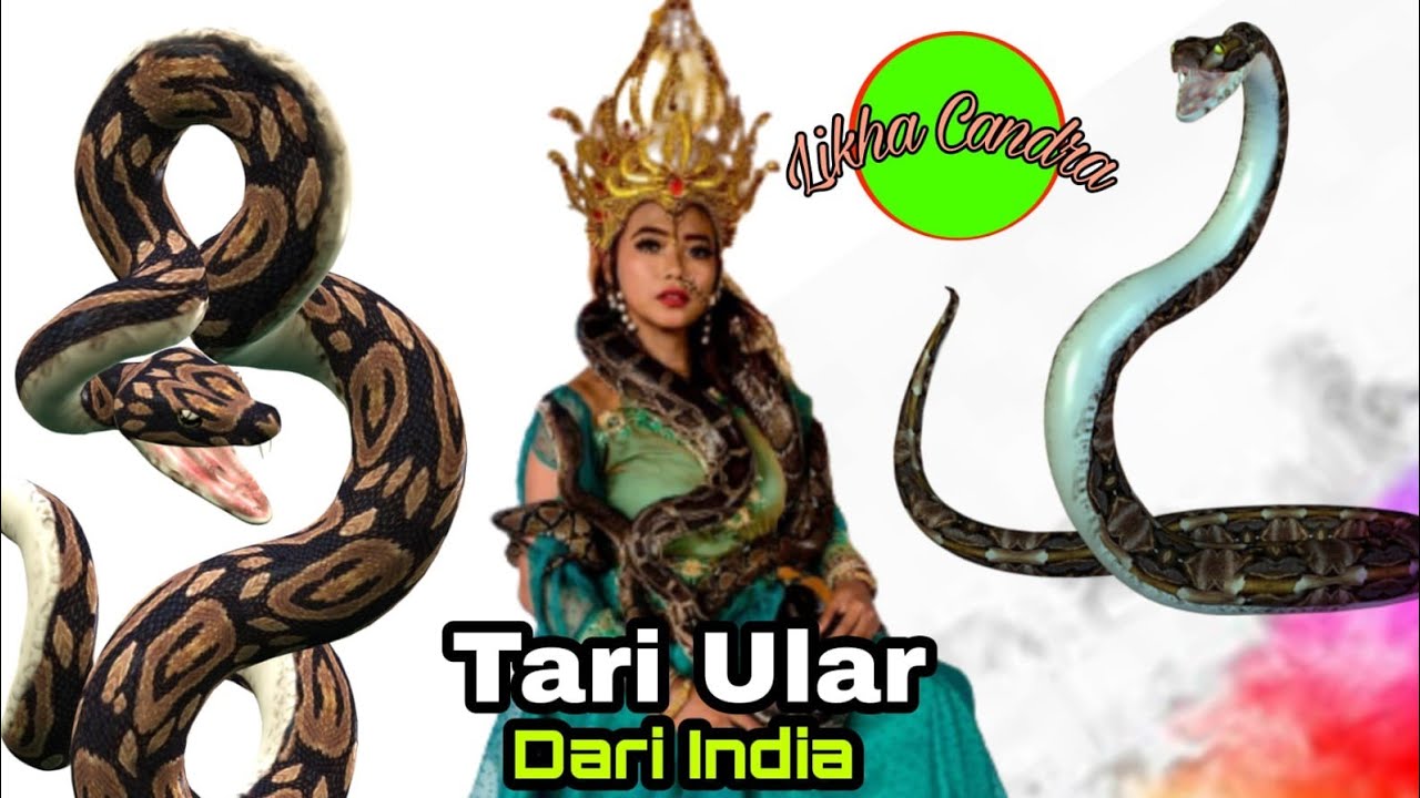 PENARI || ULAR - YouTube