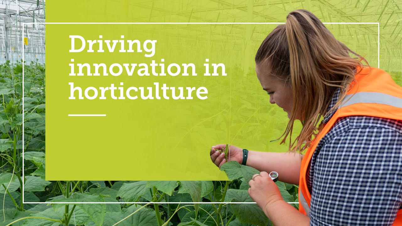 Driving innovation in horticulture through Research and Development ...