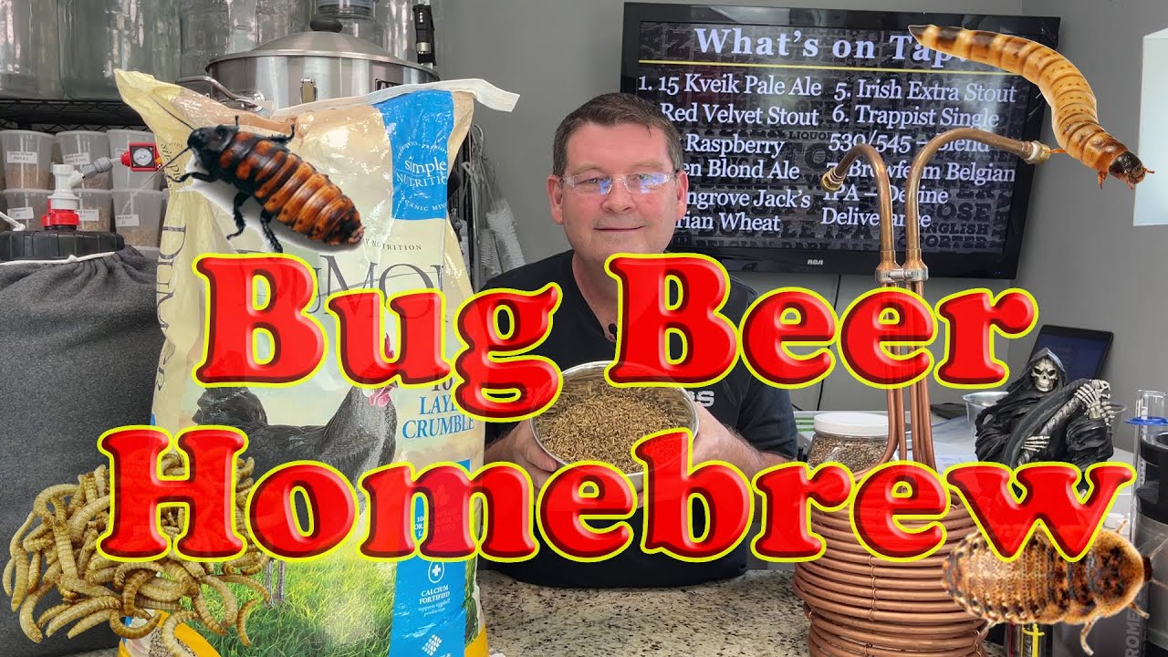 Amazing Bug Beer! - 100% Roasted Bug Homebrew Beer - YouTube