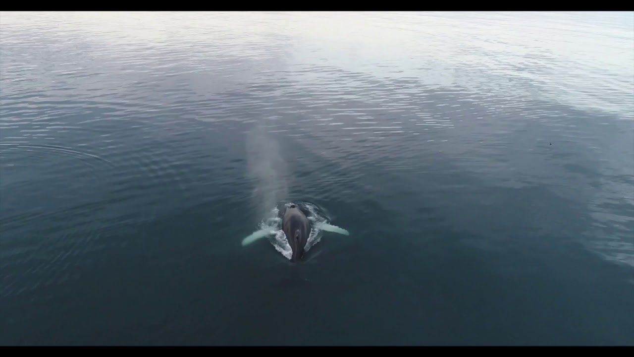 OSART-Drop of the Sea(Капля моря) - YouTube