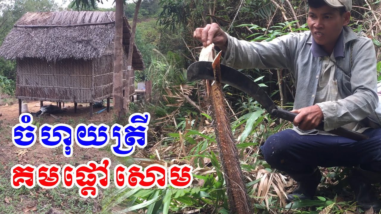 ចំហុយត្រីរ៉ស់គមផ្ដៅសោមឆ្ងាញ់អស្ចារ្យណាស់ Steamed rattan fish stew is ...