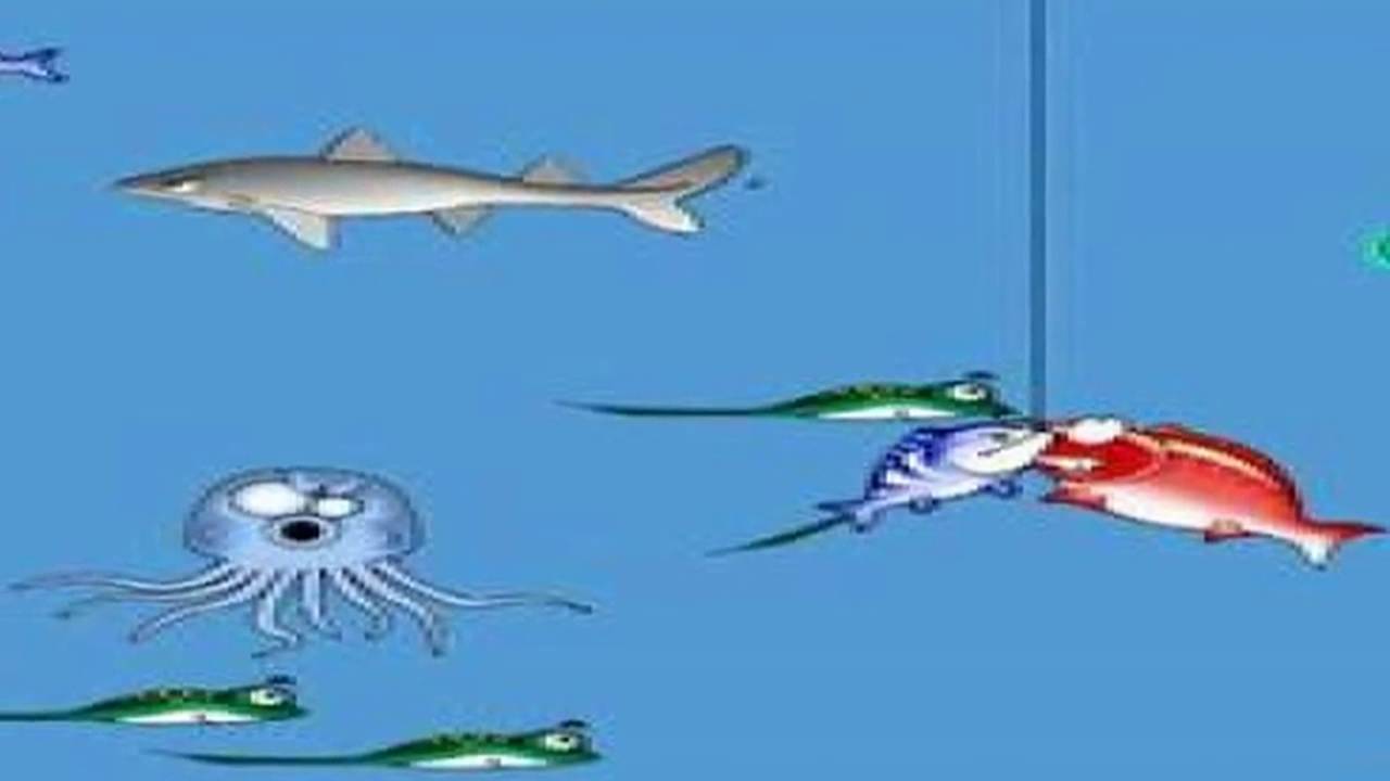 Panda Fishing Android Game - playslack.com - YouTube