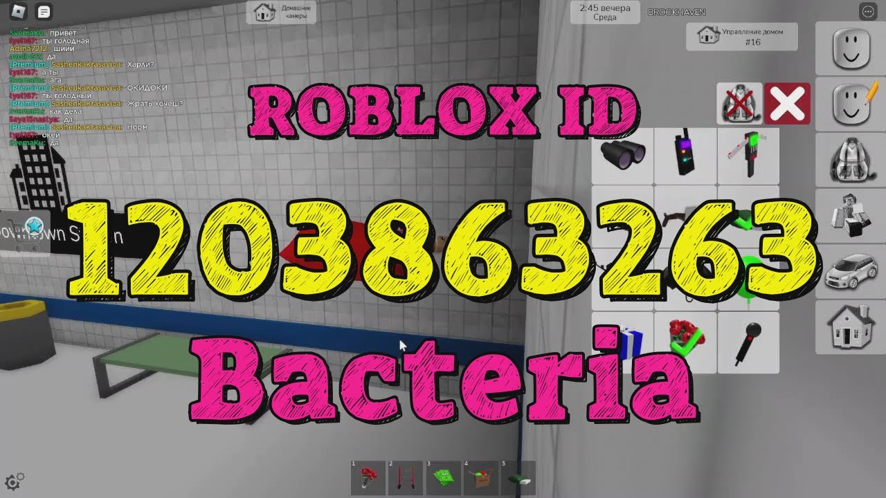 BACTERIA Roblox Song Codes - YouTube