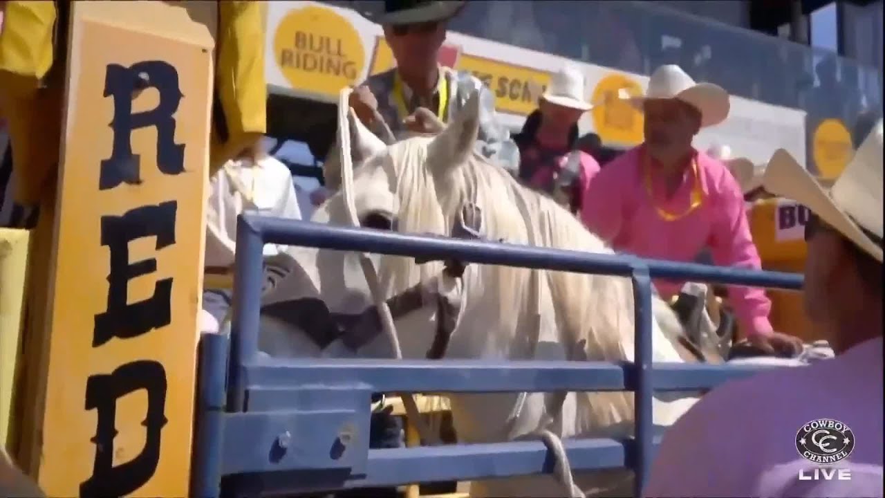 C5 Rodeo's Virgil | 2024 Red Bluff Round-Up - YouTube